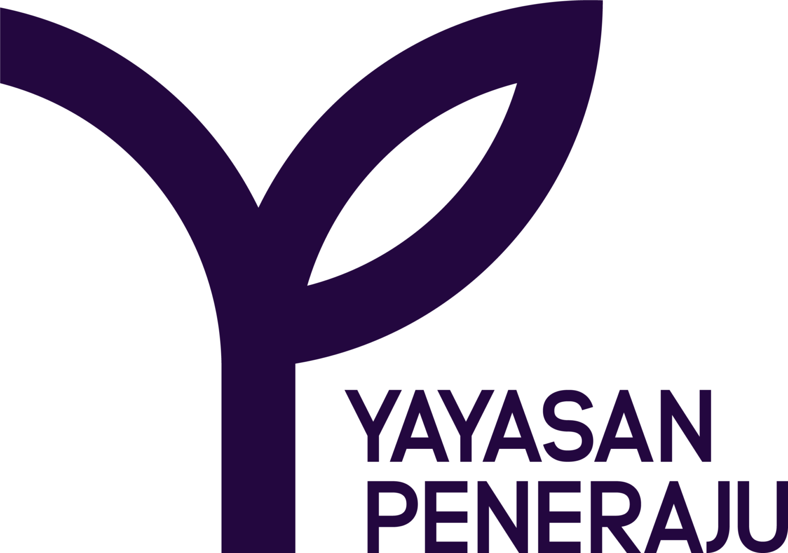 Pensijilan Profesional – Yayasan Peneraju Pendidikan Bumiputera